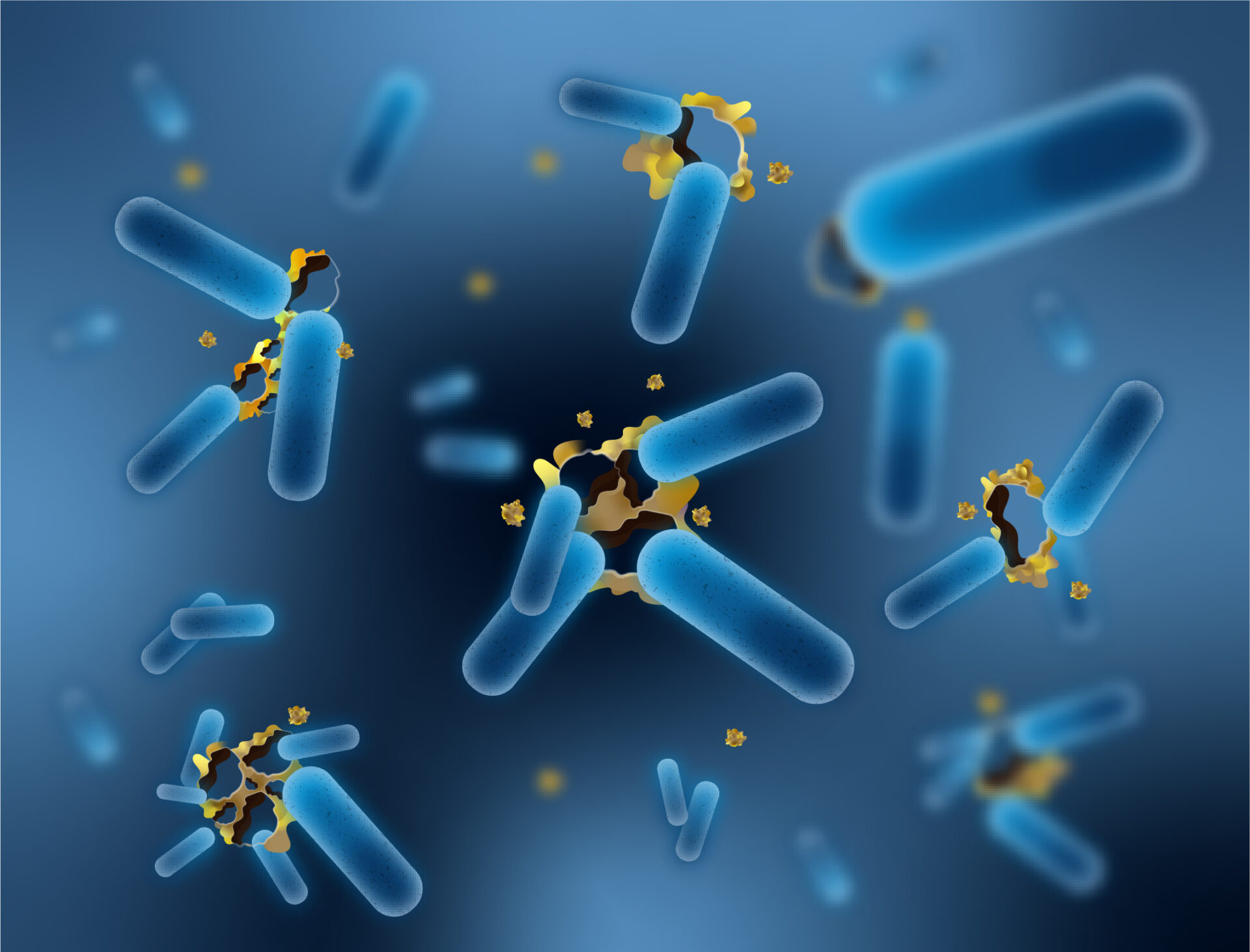 Enzymatisch - bakterieller Abbau von Fetten und Oelen